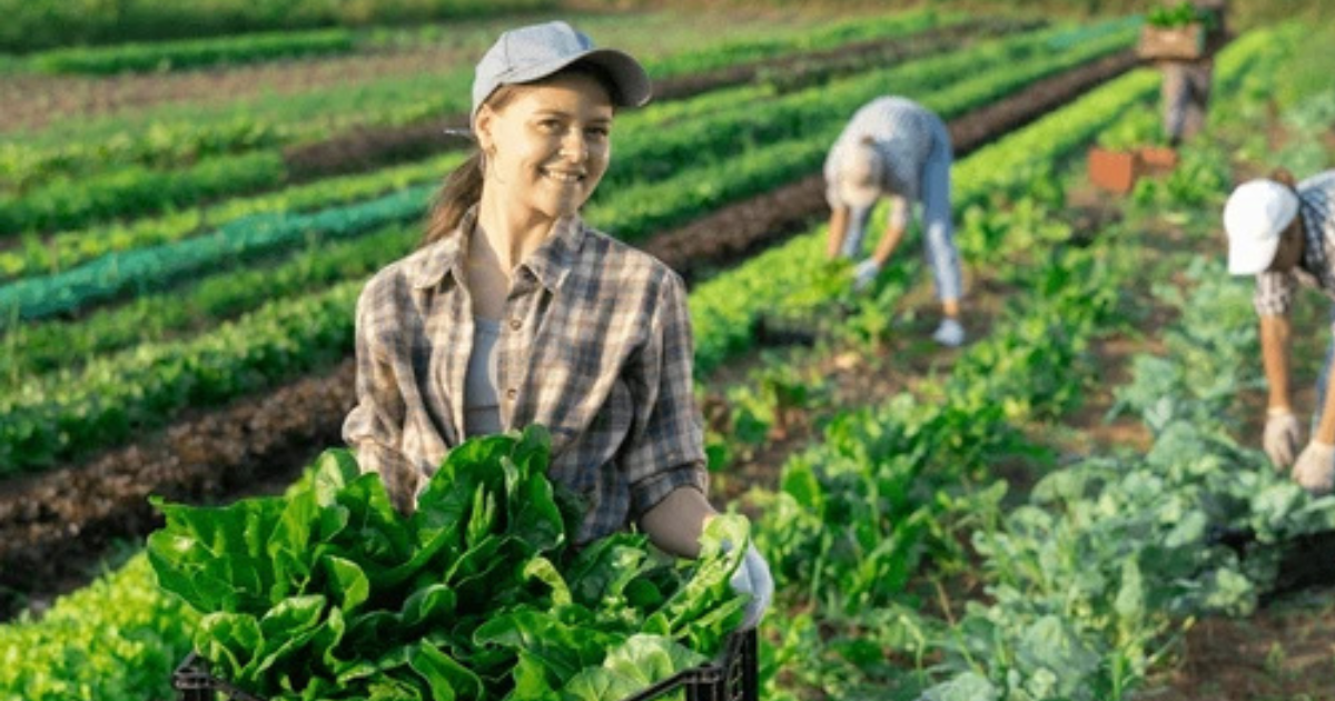 Farm Working100+Jobs in USA June 2025