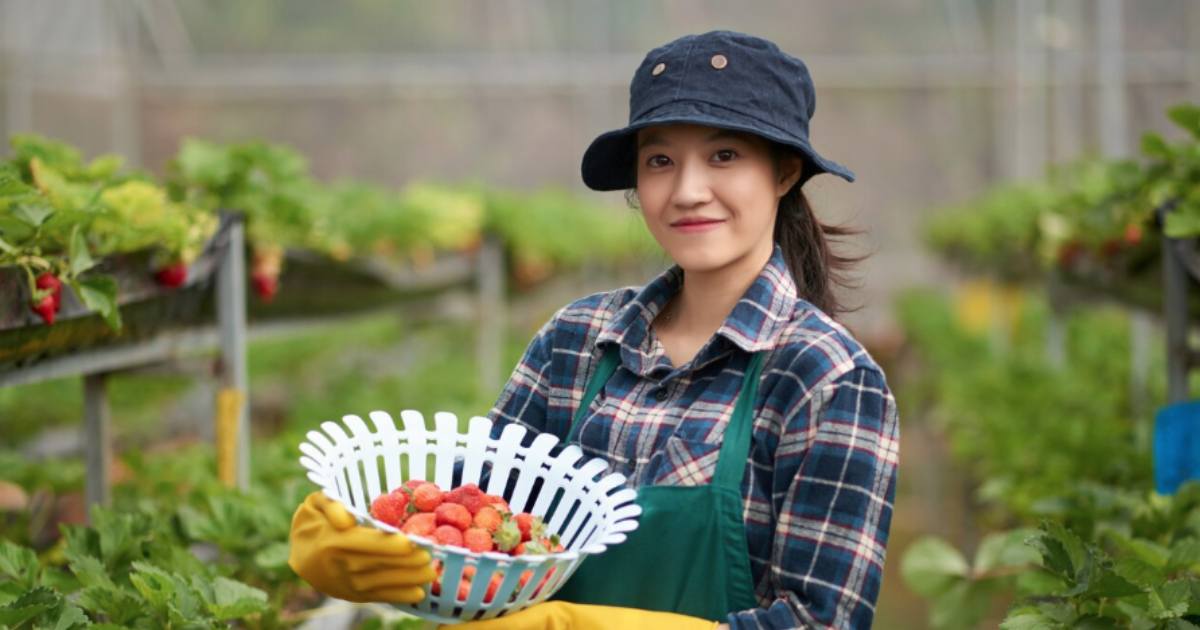 300+ Farm Worker Jobs and Work Opportunities in Canada July 2025
