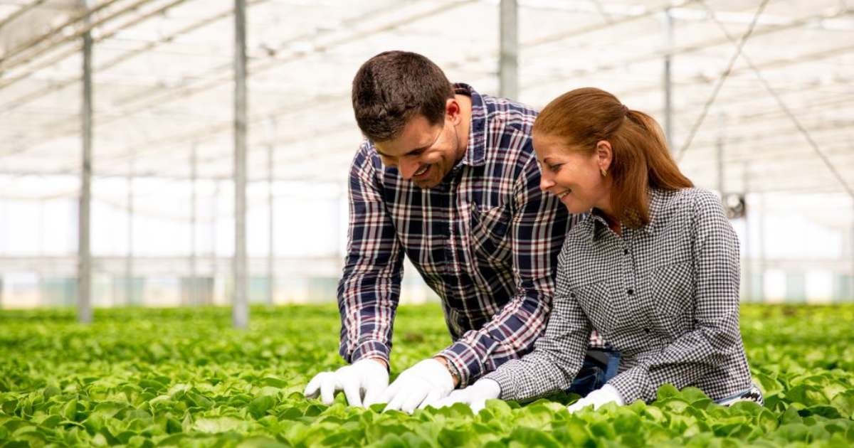 Grain Farm Worker Jobs in Canada with LMIA 2025 Apply Now - JOBZOI